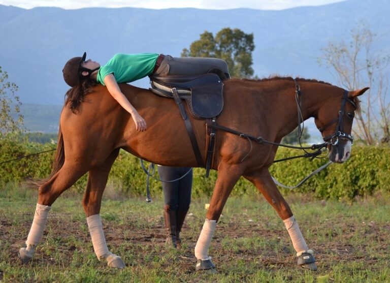 Caballos más fuertes del mundo: características y poderío revelados