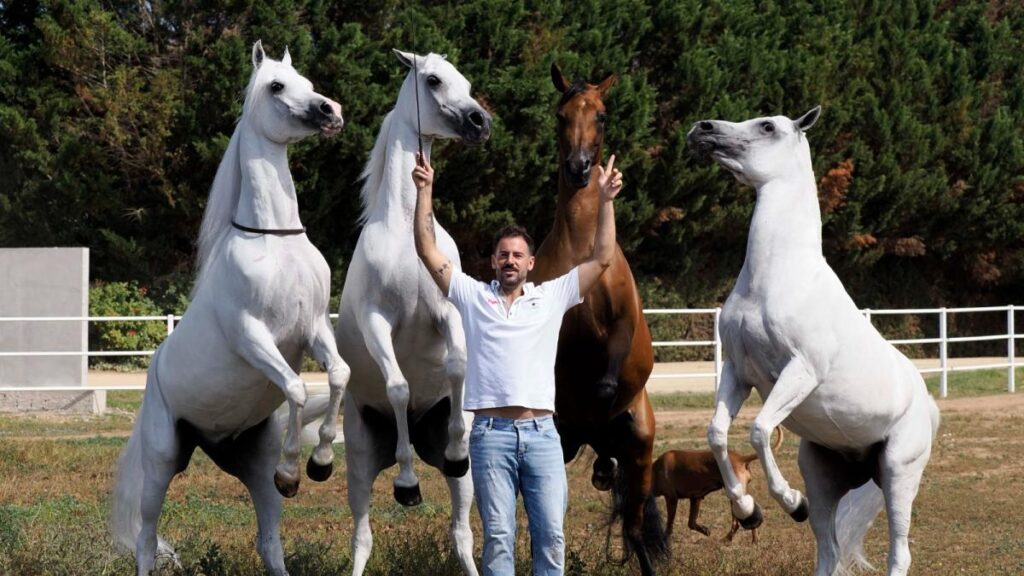 Guía completa sobre caballos: 10 cosas importantes que debes saber