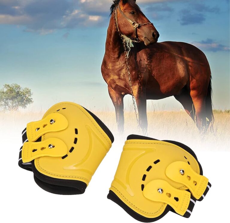 Consejos Expertos para Protegerse de Caballos Agresivos y Garantizar tu ...