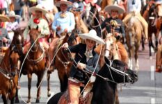 El simbolismo del caballo: significado y relevancia histórica y cultural