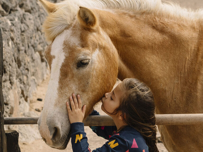 Dientes de caballo: Guía completa de cantidad y distribución
