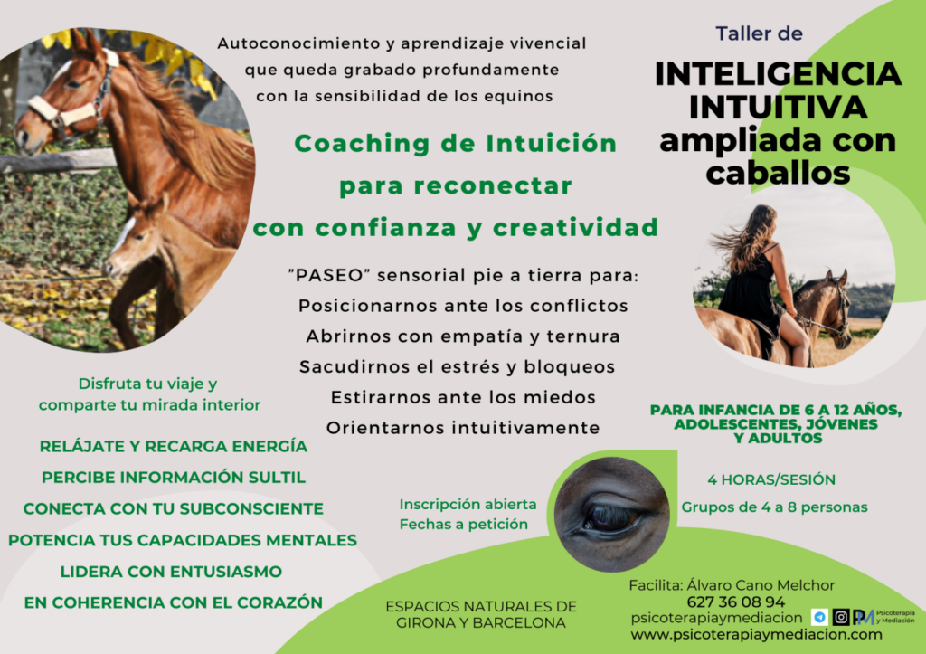 Peso promedio: importancia del corazón de caballo en el equilibrio equino