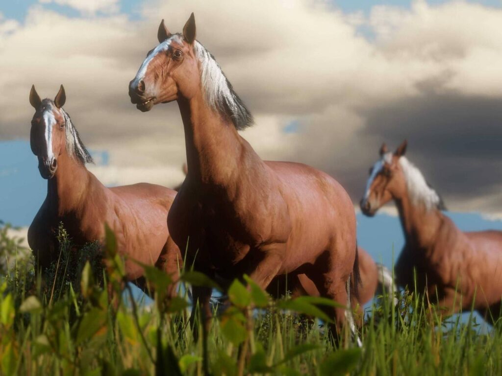 Precio de los caballos: factores e influencias en su costo
