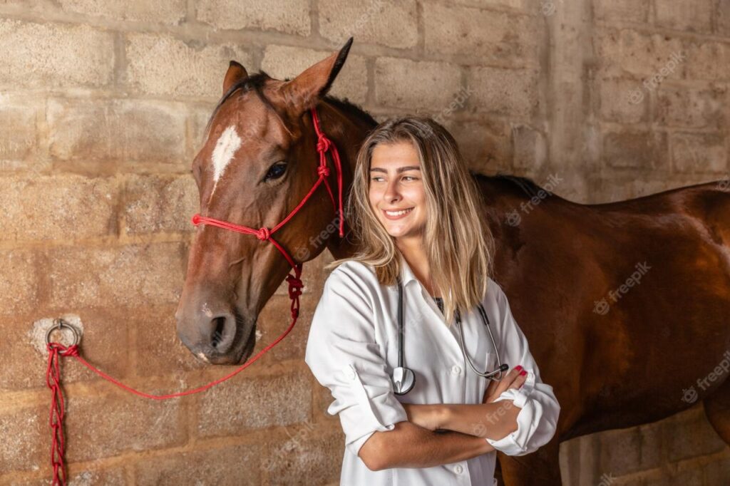 Descubre los síntomas del cólico en los caballos y cómo identificarlos